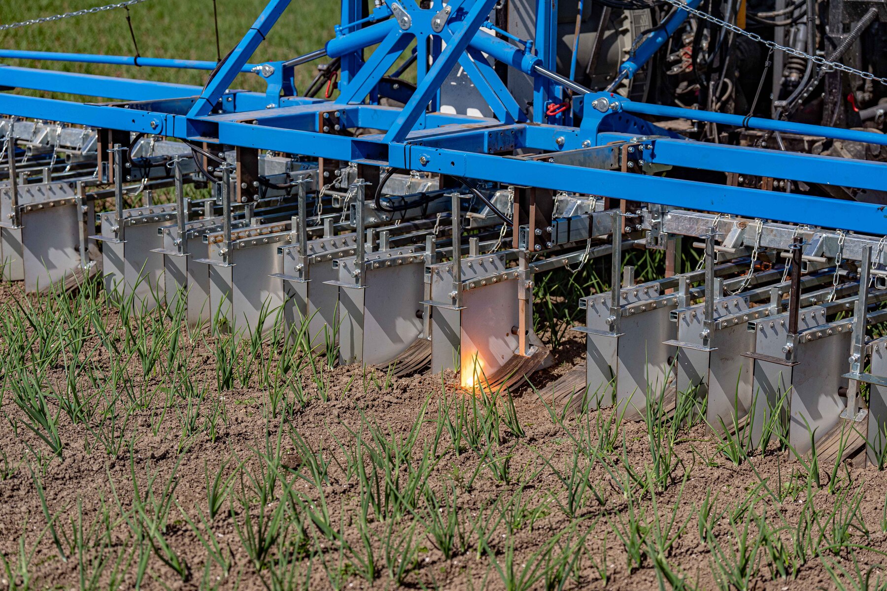 Andela Elektro Weeder for weed control between the rows
