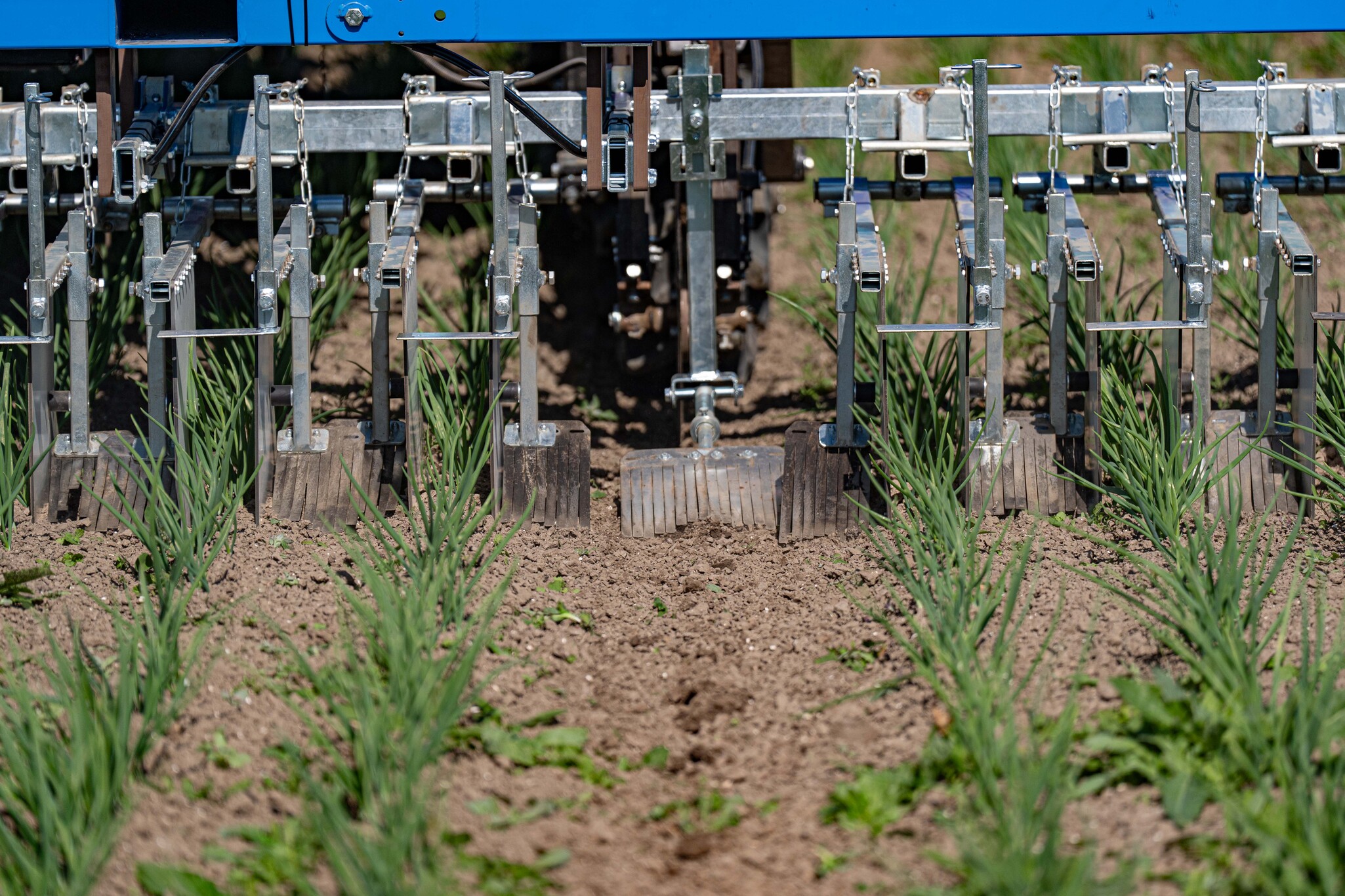 Andela Elektro Weeder for weed control between the rows